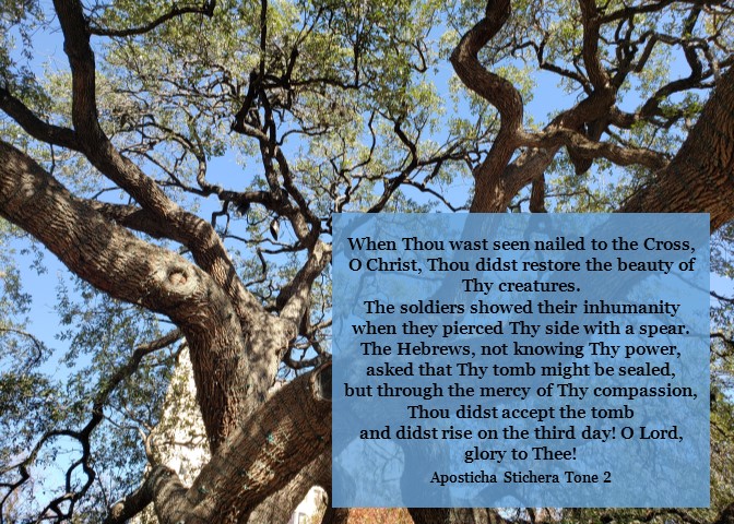 Prodigal Son and the Resurrection – Kindler of Joy!